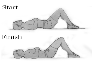 Two isometric exercises for low back pain - Life in a day of a Physical ...