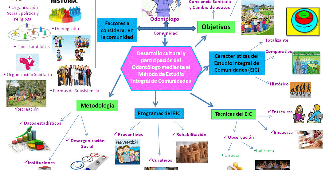 Mapa Conceptual De La Comunidad - arbol