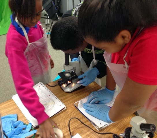 Mr Hill's Science Lab: Which Soil Holds More Water