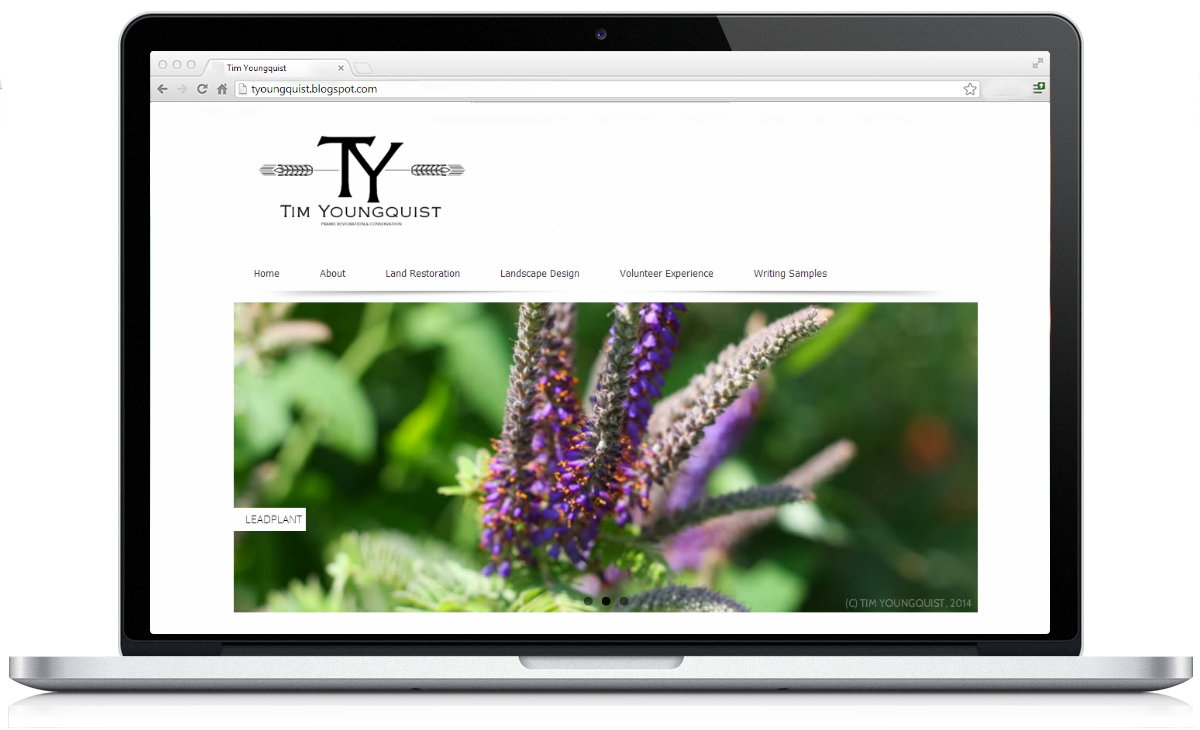 Blog Design for Tim Youngquist - Young Branch