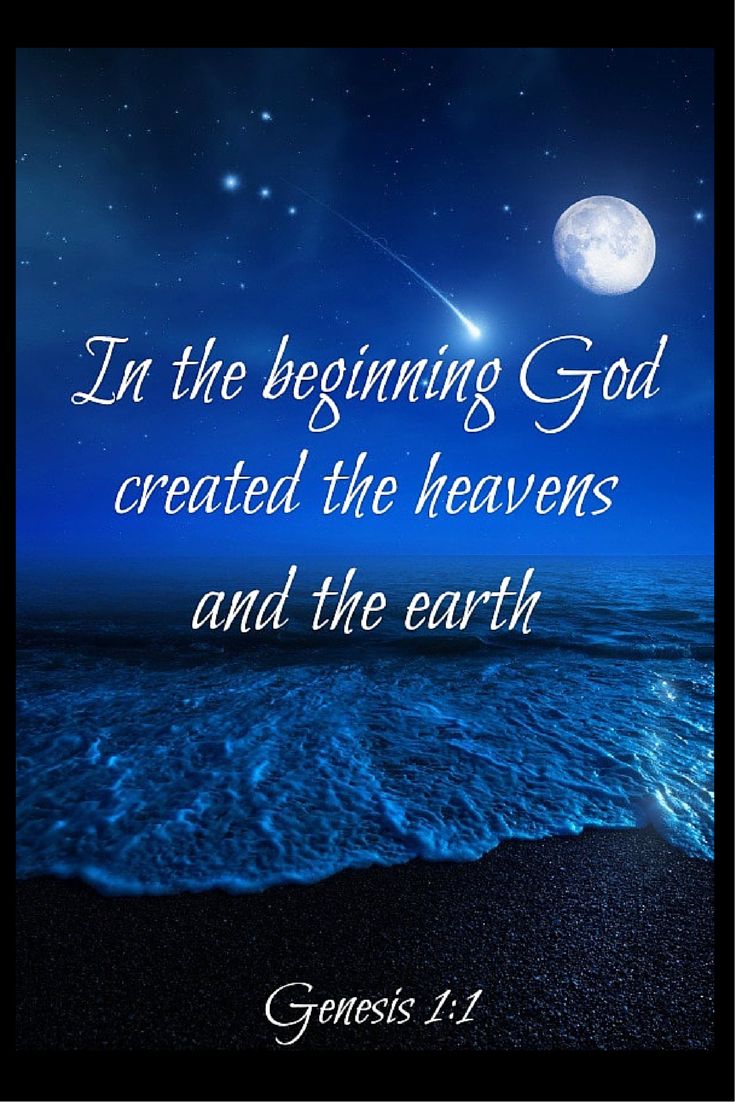 Eagle of Dan: GENESIS 1 READ THE BIBLE ON LINE