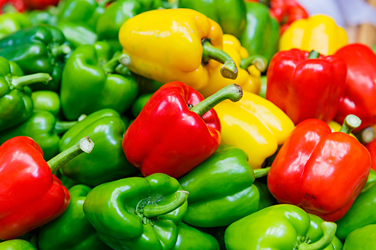 CURIOSIDADES SOBRE OS PIMENTÕES