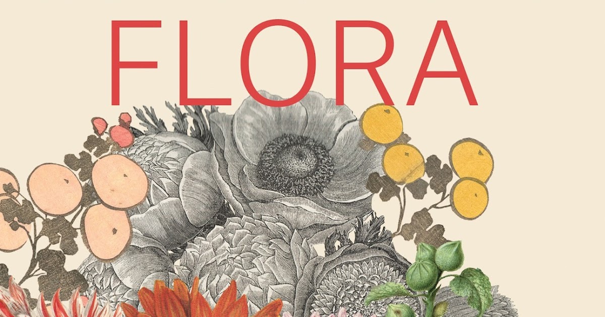 Noel's Garden Blog: 'A Garden Flora' - for Christmas reading all year round