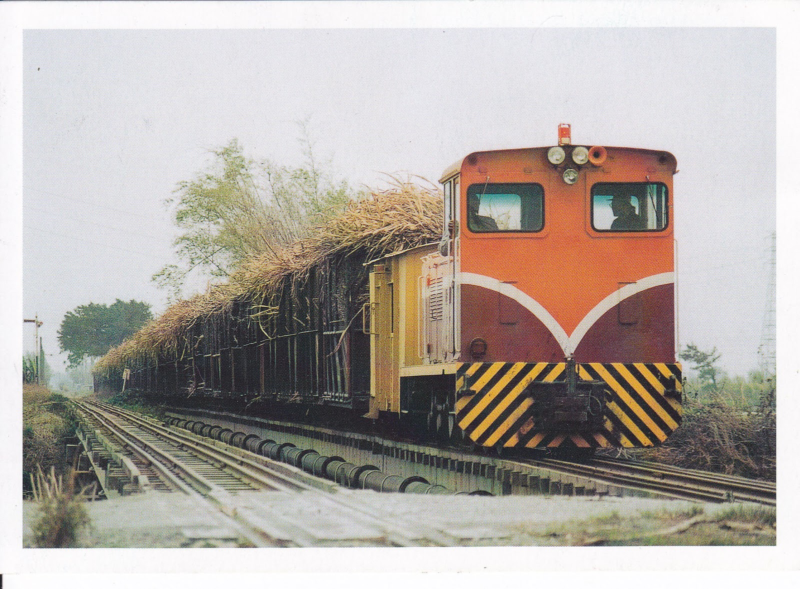 My World-wide postcard: Taiwan -train