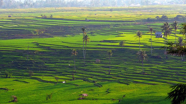 Andalas View & Visit: Batusangkar (West Sumatera)
