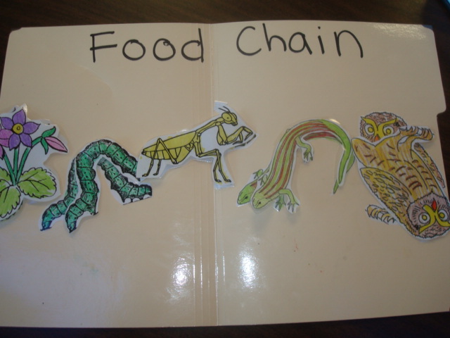 Wilde World of Special Education: Alternate Assessment Ideas