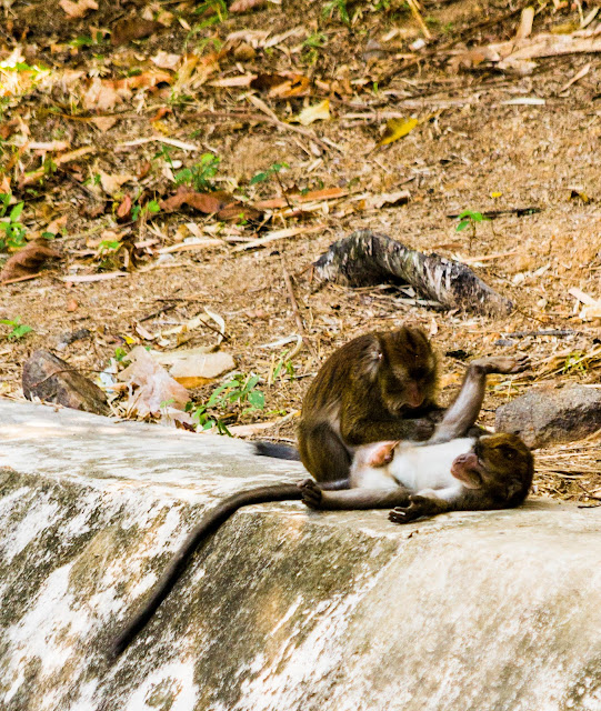 Philippines 2012 Day 4.2 - Subic Bay - Everything & anything with a ...
