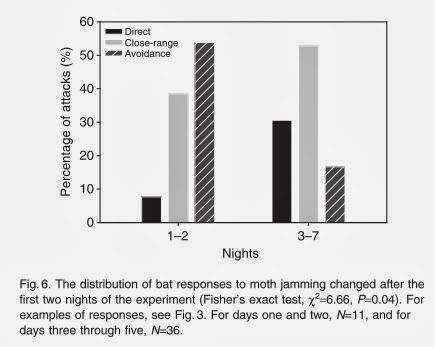 Cal Poly BIO 502: Co-evolution: Moths vs. Bats