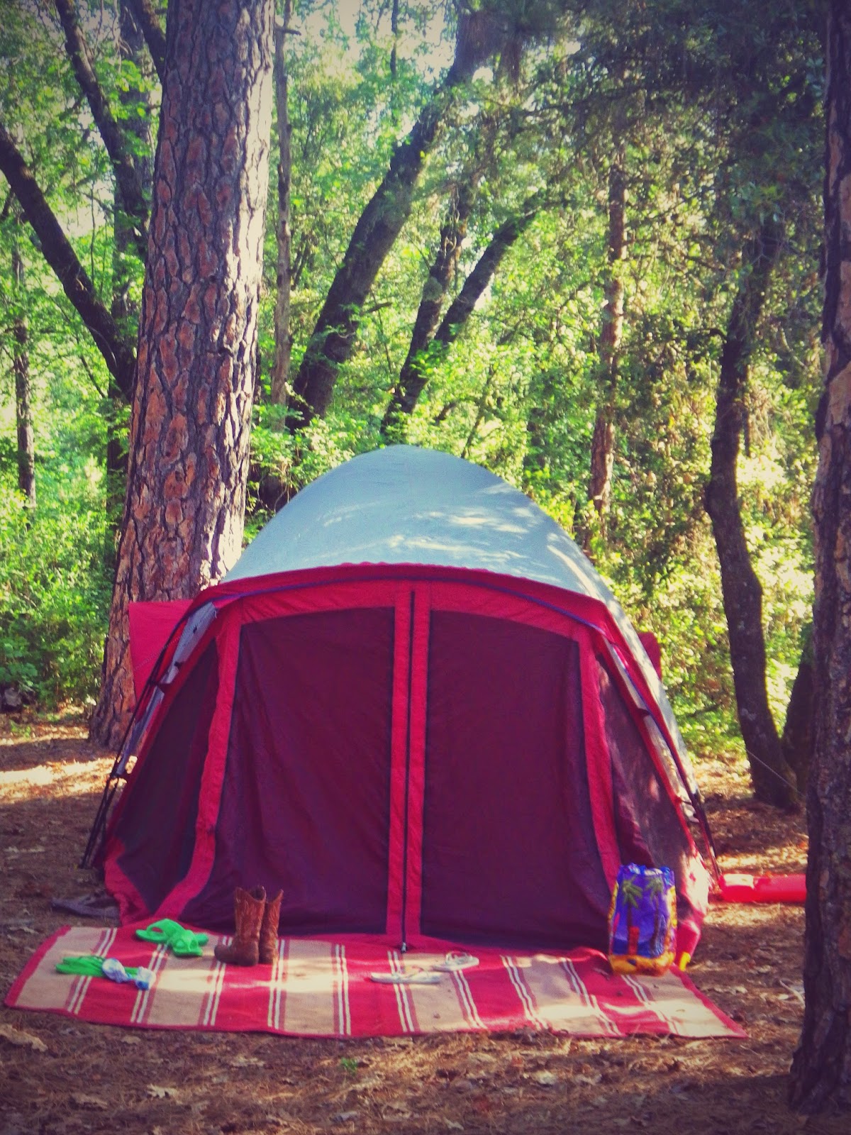 Planks, Fartleks, and Family Fun: Camping - Antlers Campground, Lake Shasta