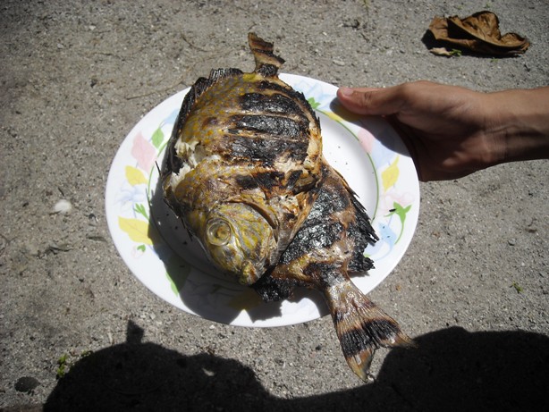 SUBIC ISLAND: The Off the Beaten Path Wonder of Matnog, Sorsogon