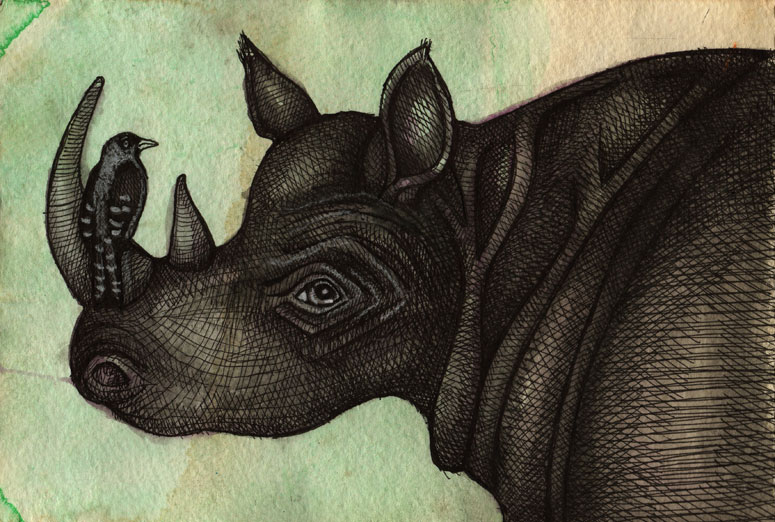 El Hurgador [Arte en la Red]: Rinocerontes / Rhino (XXII)