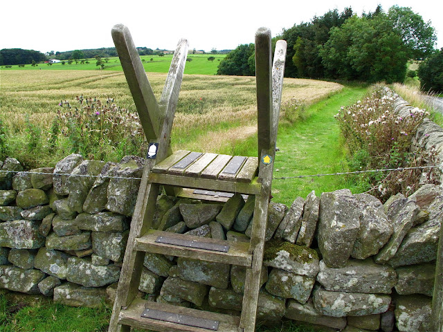 Transit Notes: WALKING THE HADRIAN'S WALL PATH: Days 1 and 2 — Wallsend ...