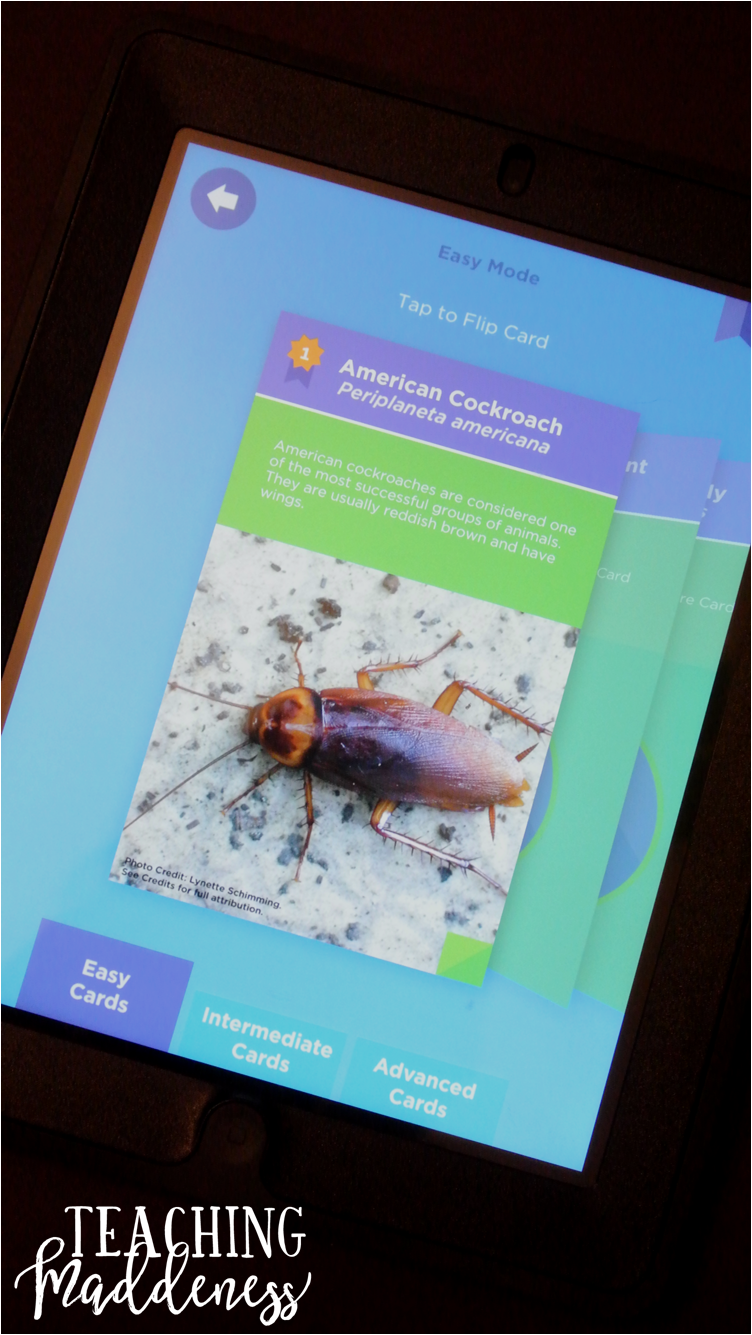 Classify App {Plants & Animals} - Owl-ways Be Inspired