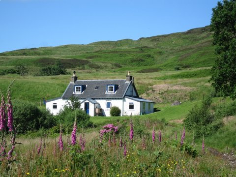 Shimmering Gold Fields: Sottland Highland Cottages