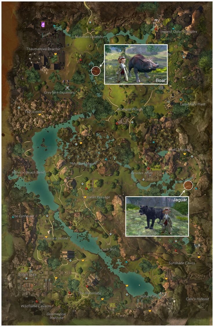 Guild Wars 2 Junkie: Pet Locations