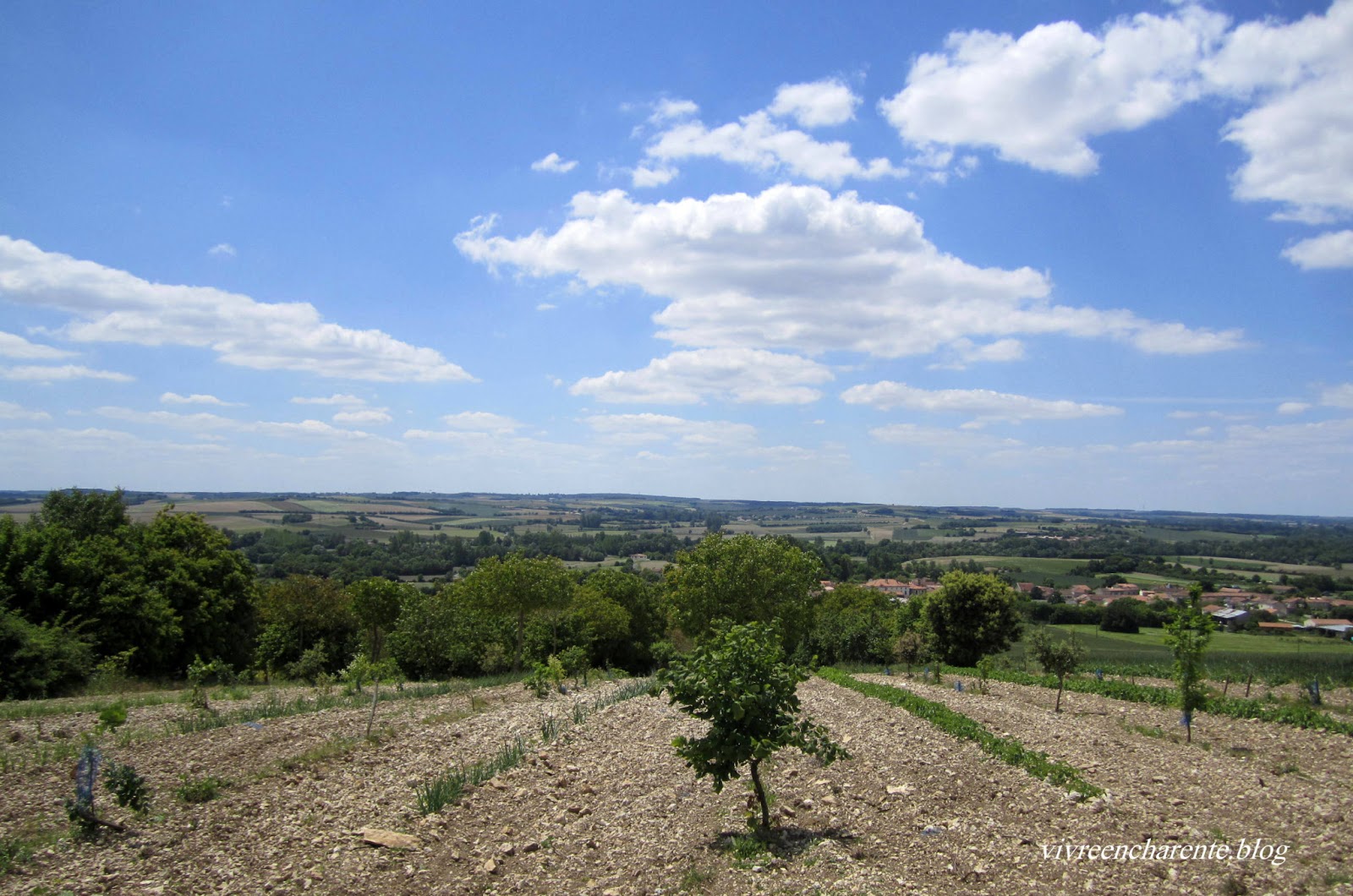 VivreEnCharente.blogspot.com: Rando de Marcillac-Lanville - Charente
