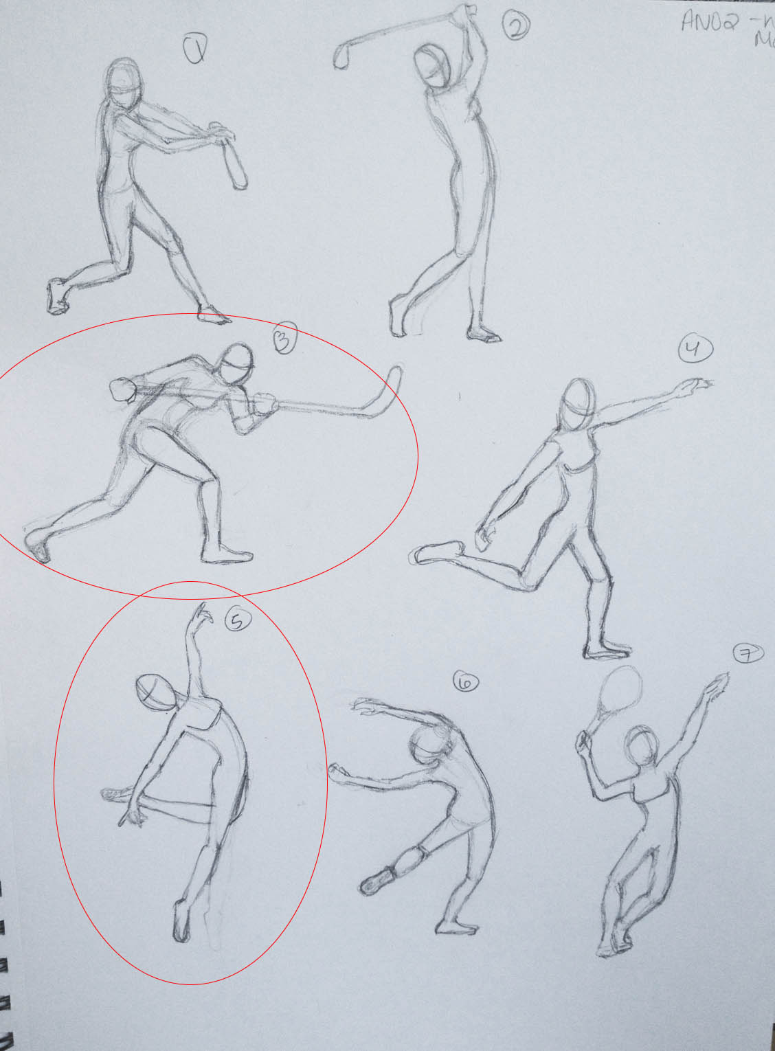 Teresa Falcone Animation: 2015