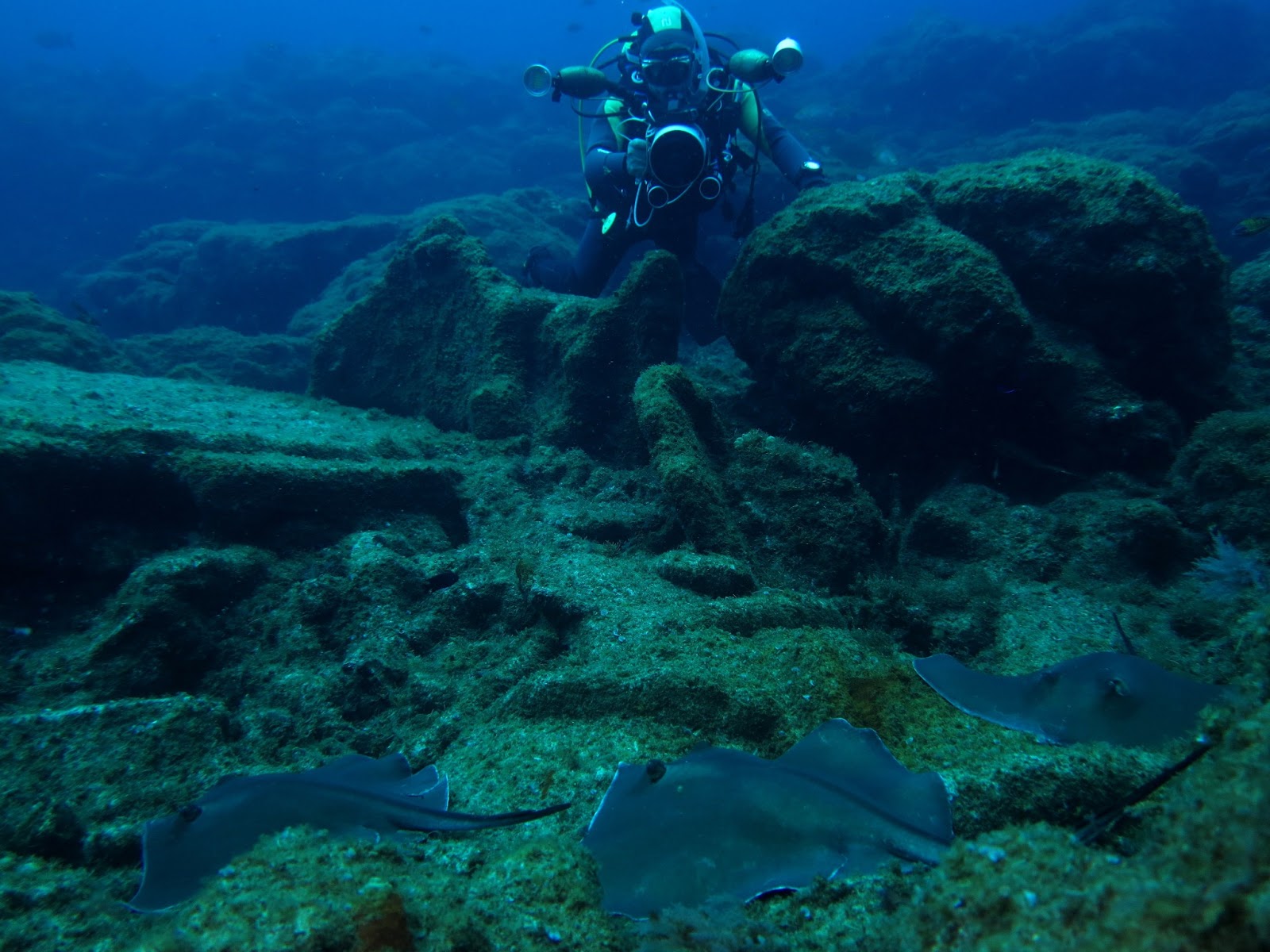 Mergulho num dos melhores spots da Europa, Ilhéus das Formigas Açores