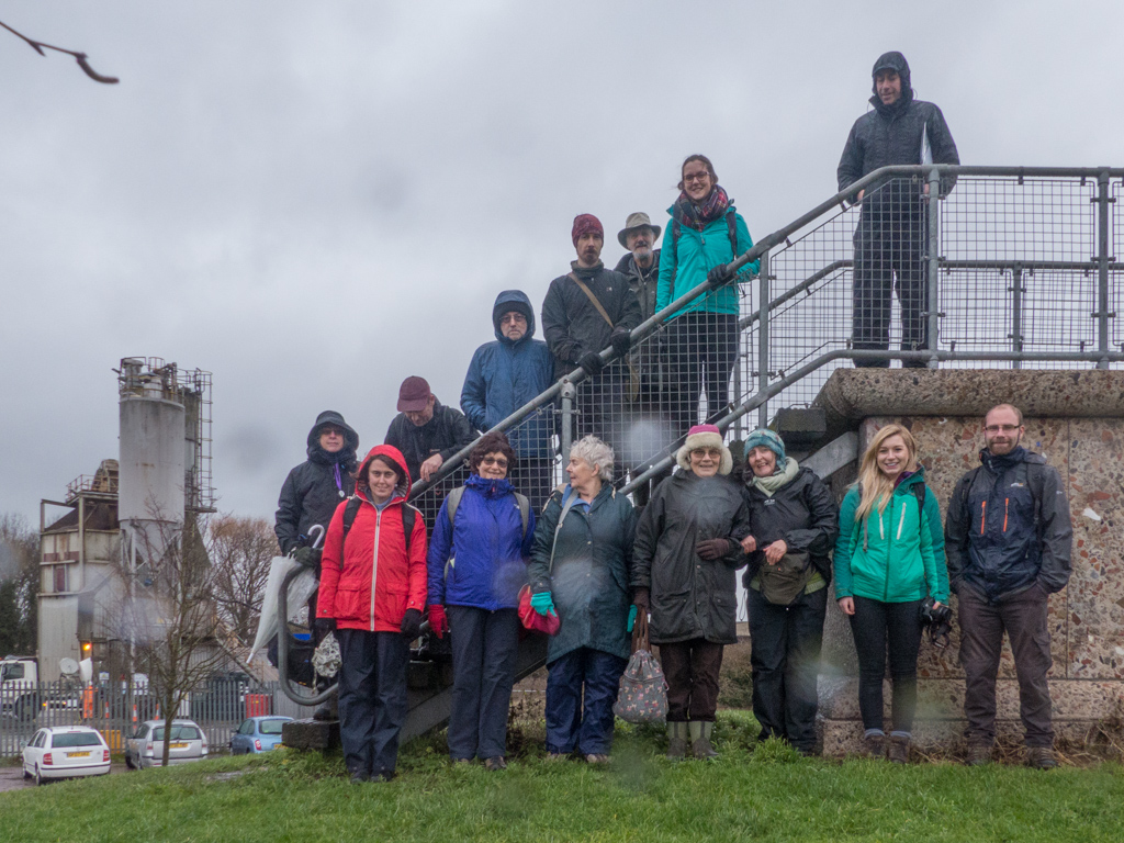 BSBI News & Views: BSBI New Year Plant Hunt on BBC Countryfile!