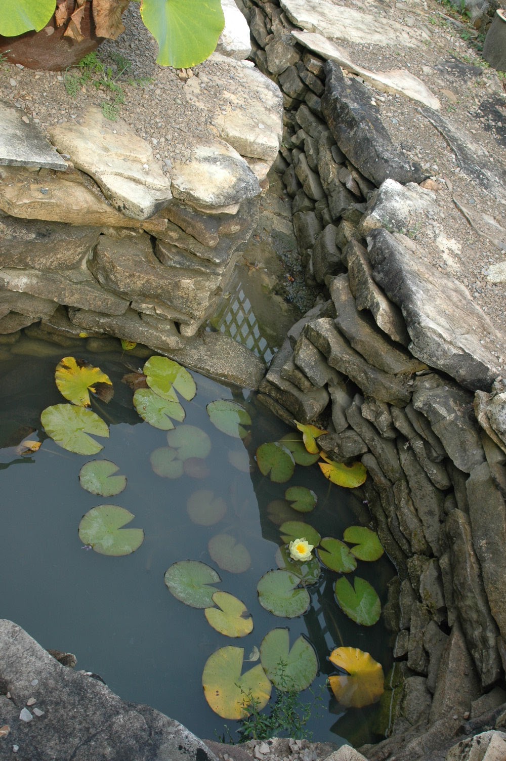 Roche Fleurie Garden: The Rill