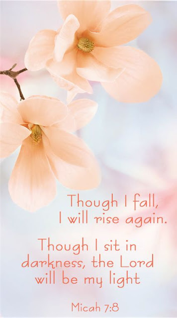 Though I fall, I will rise again. Though I sit in darkness, The Lord ...