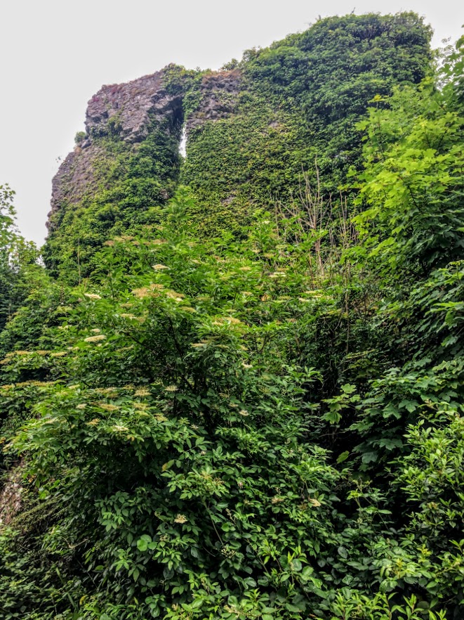 Patrick Comerford: A Saturday afternoon stroll through the ...