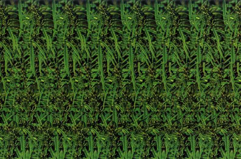 maszqa84: Magiczne obrazki