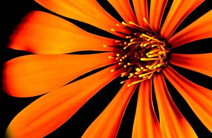 presentacion digital avanzada de proyectos: Efecto psicológico del ...