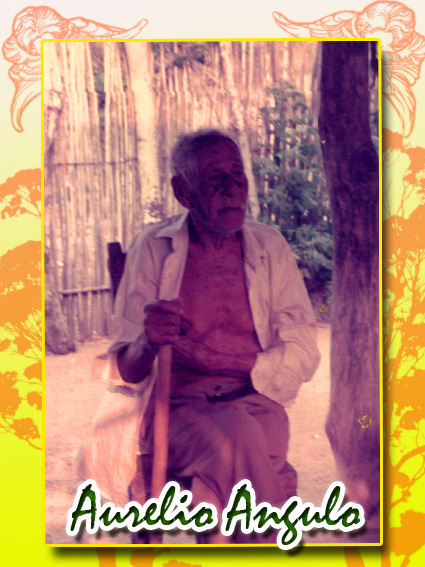 Santo Domingo Vicente Vidal Villadiego: VIDA DE DOMINGO VIDAL