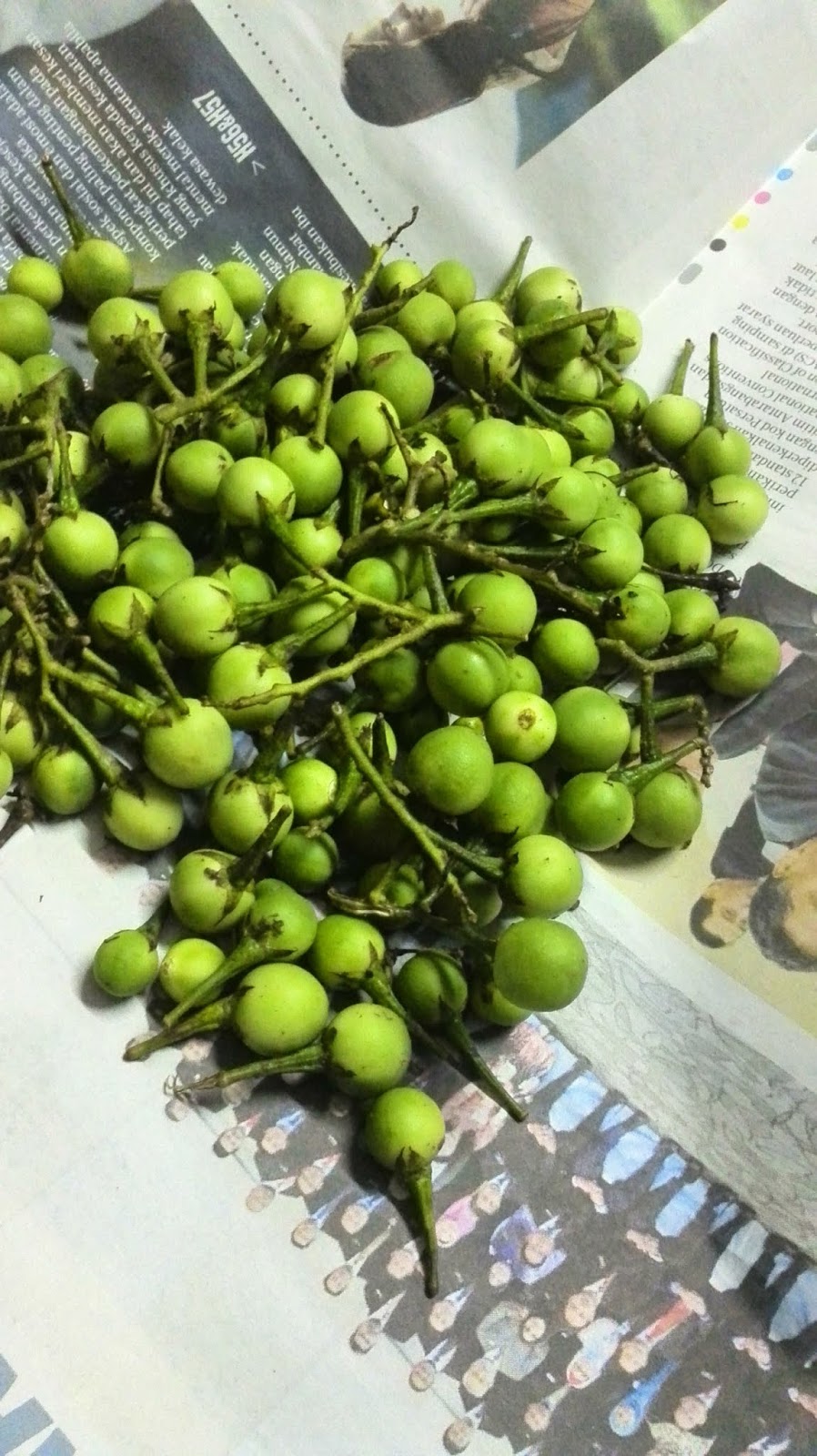 namakucella: SAMBAL TERUNG RIMBANG CILI PADI