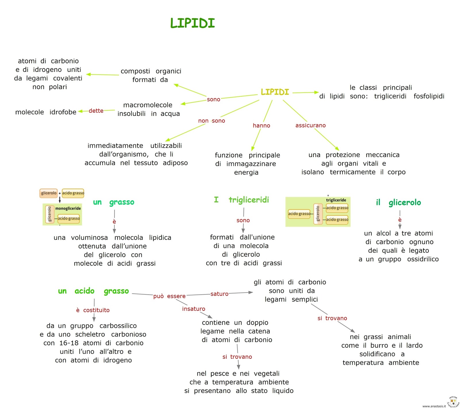 Paradiso delle mappe: Lipidi