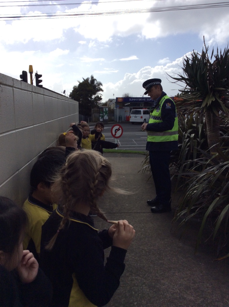 Room 2 Sunnybrae Normal School 2017