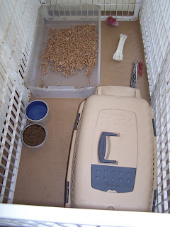 PW dog blog: The Puppy Confinement Area