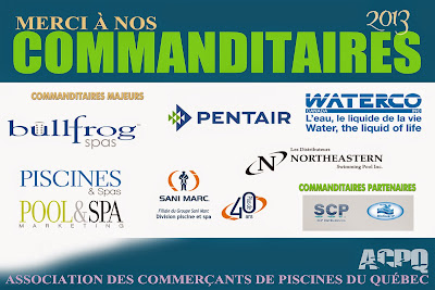 French Vocabulary Illustrated: commanditer