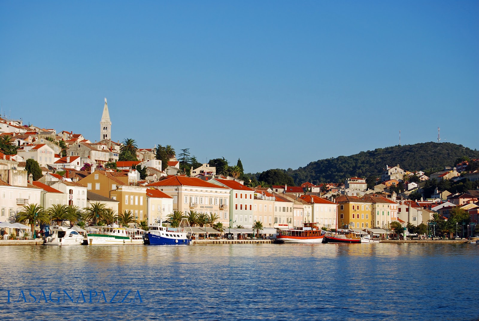 lasagnapazza: LUSSINO