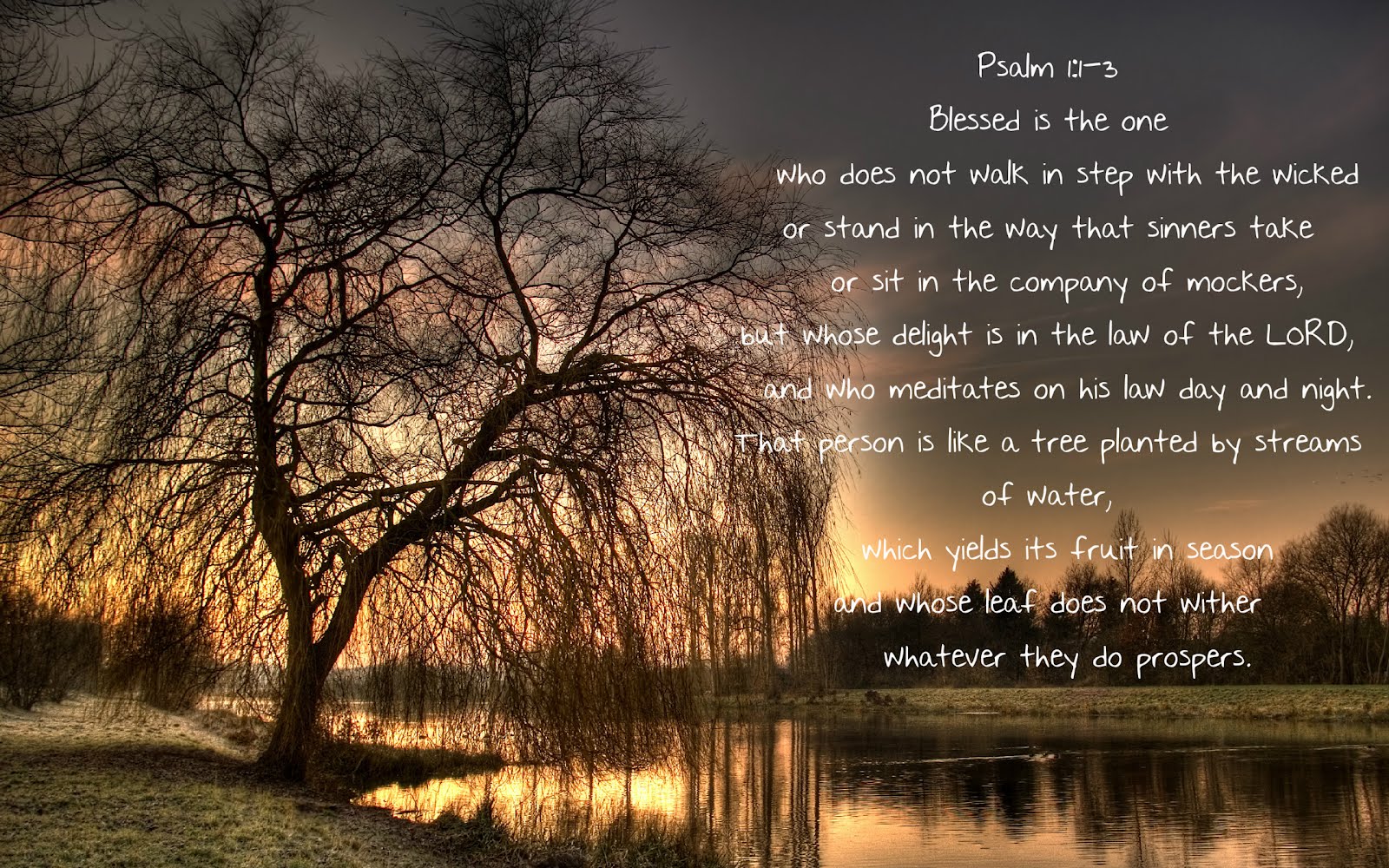 Life To These Dry Bones Psalm 1