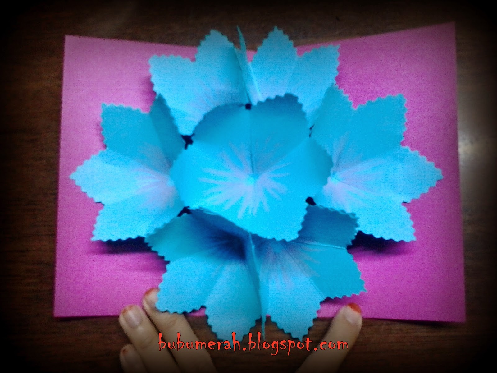 bubumerah.blogspot.com: variasi pop-up bunga