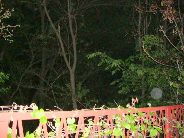 Becky Vickers(BECKS) - Everyday Ghost Hunter/Goatman's Bridge Ghost ...