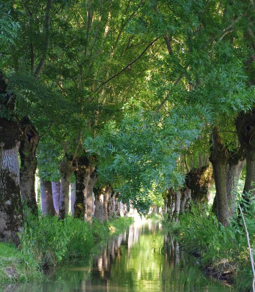 Marais Poitevin: France’s Green Venice ~ Kuriositas