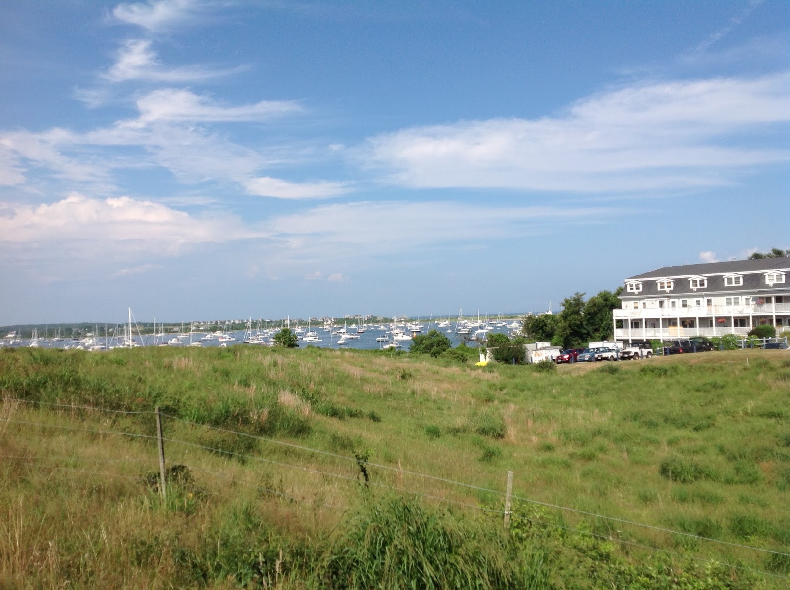 Life From The Roots: Block Island, Rhode Island