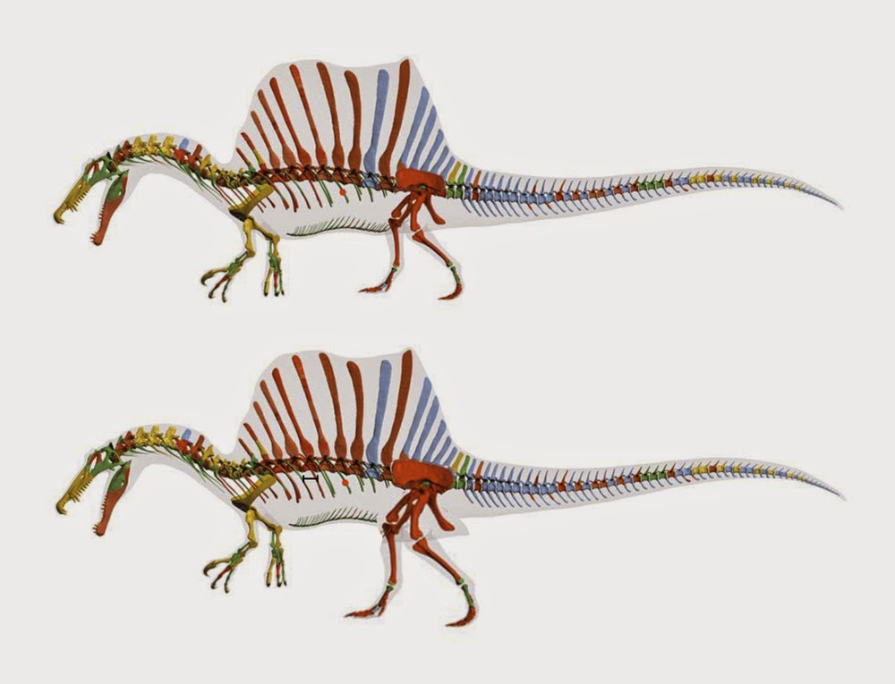Mundo Terópodo: El Espinosaurio a Través de la Historia