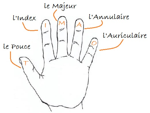 Le petit journal: Doigts de la main