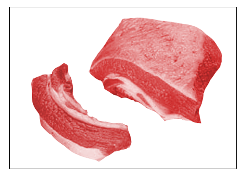 pecho ~ CARNES LOMO FINO PERÚ