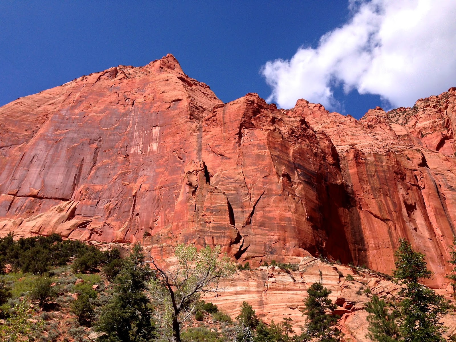 More Sky Better: The Roof of Zion: Safety in Vastness