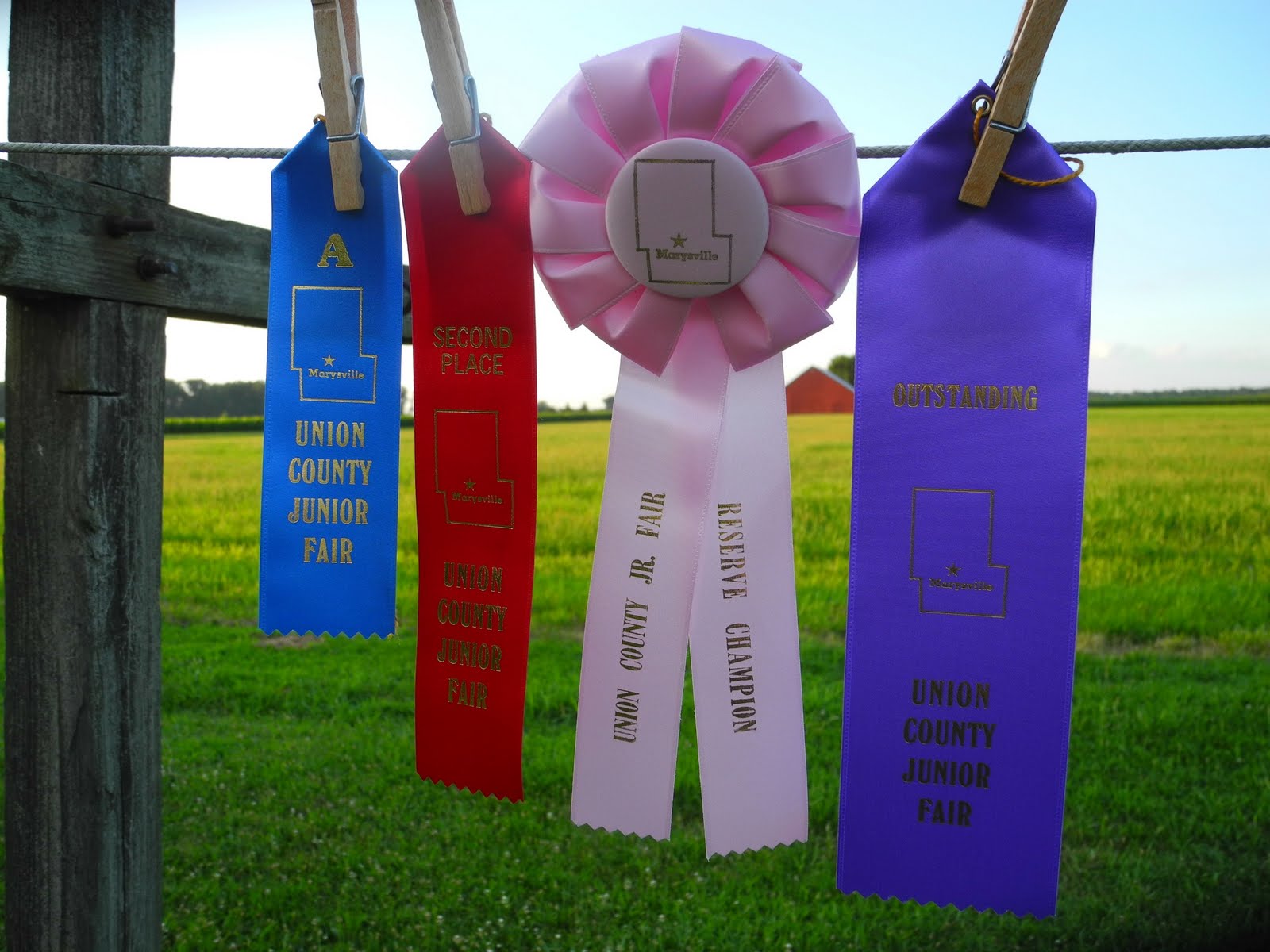 cupcake studio: 2011