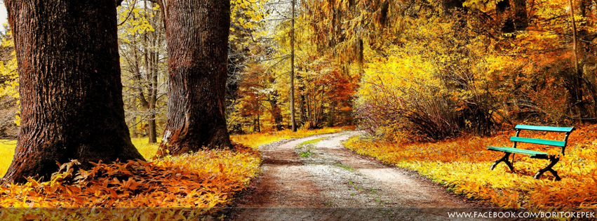 BORÍTÓKÉPEK: Őszi Borítóképek (10DB)