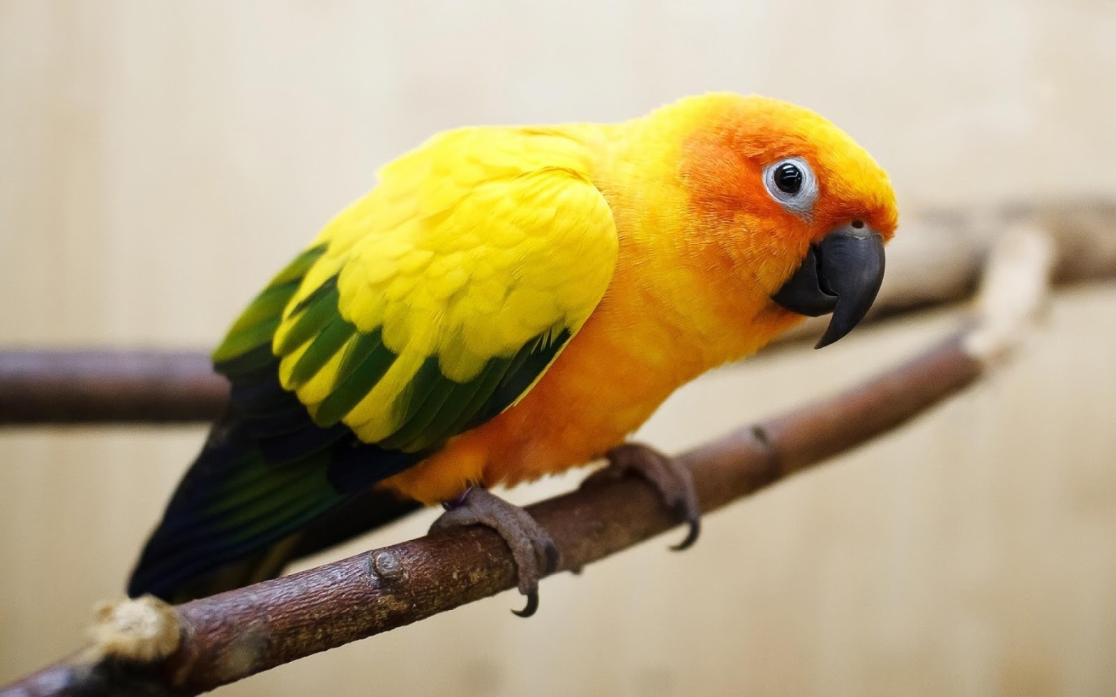 Jaye's Photojournalism Blog: Rules of Photography Part II