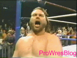 ProWresBlog: WWF Superstars of Wrestling 2/3/1990