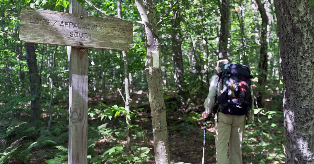 The Laughing Dog: What's a Lasher?