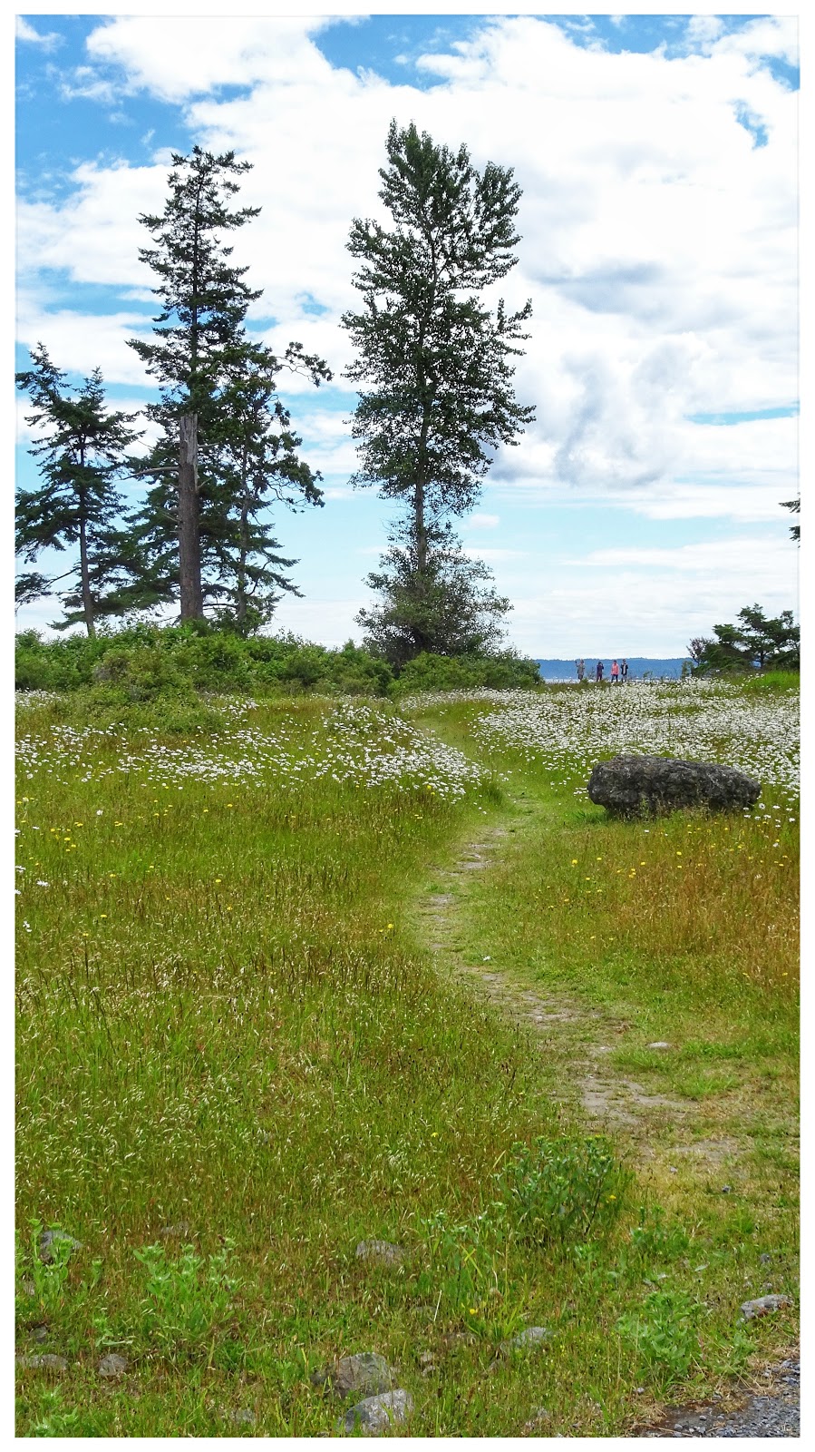 20+ Parks in Nanaimo: Neck Point Park